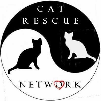 Home page [julianredmond.github.io]